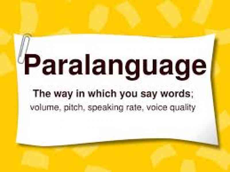 What is Paralinguistics ( Paralanguage)?