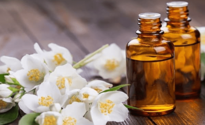Essential Oil Extraction: Exploring Cutting-Edge Equipment and Methods ...