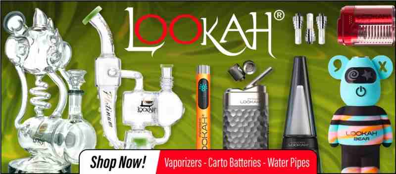 Expanding Horizons: How Smoke Shops Thrive Through Online and Offline ...