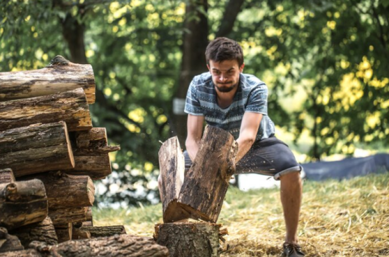 Enhance Your Landscape with Expert Tree Work