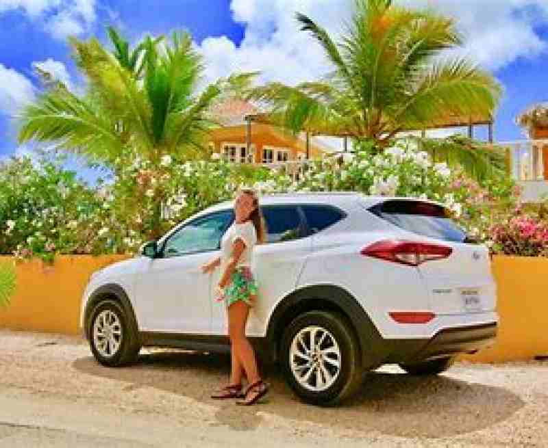 Exploring Bonaire with a Car Rental: The Ultimate Travel Companion
