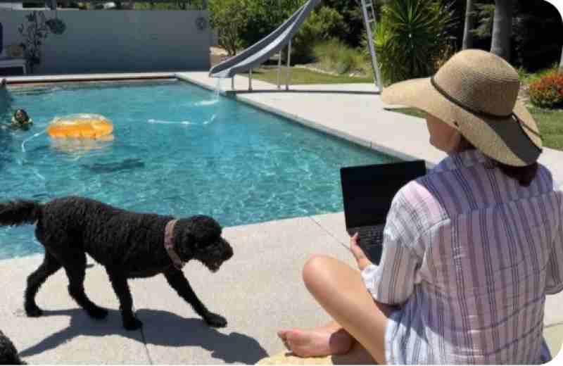 Launch Your CLNC Career from Home: A Guide for Nurses