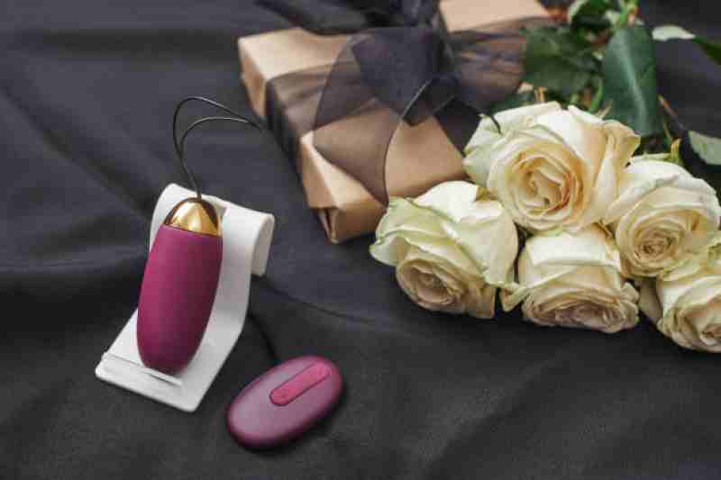 Discover New Heights of Pleasure with Rabbit and Remote Control Vibrators