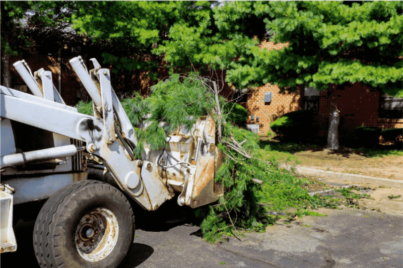 B Cup Size vs. C Cup Size: What You Need to Know