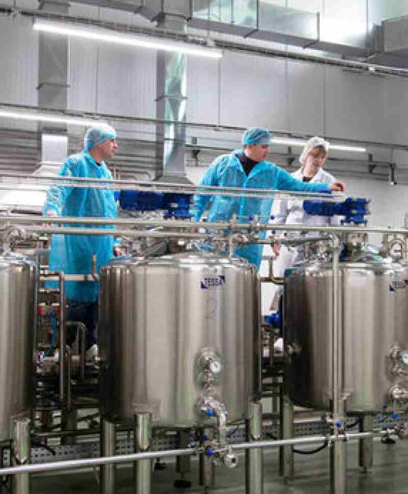 Maximizing Productivity with Efficient Pasteurizers for Safe Dairy Products