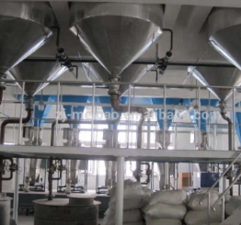 Essential Guide to Setting Up a Detergent Powder Production Line