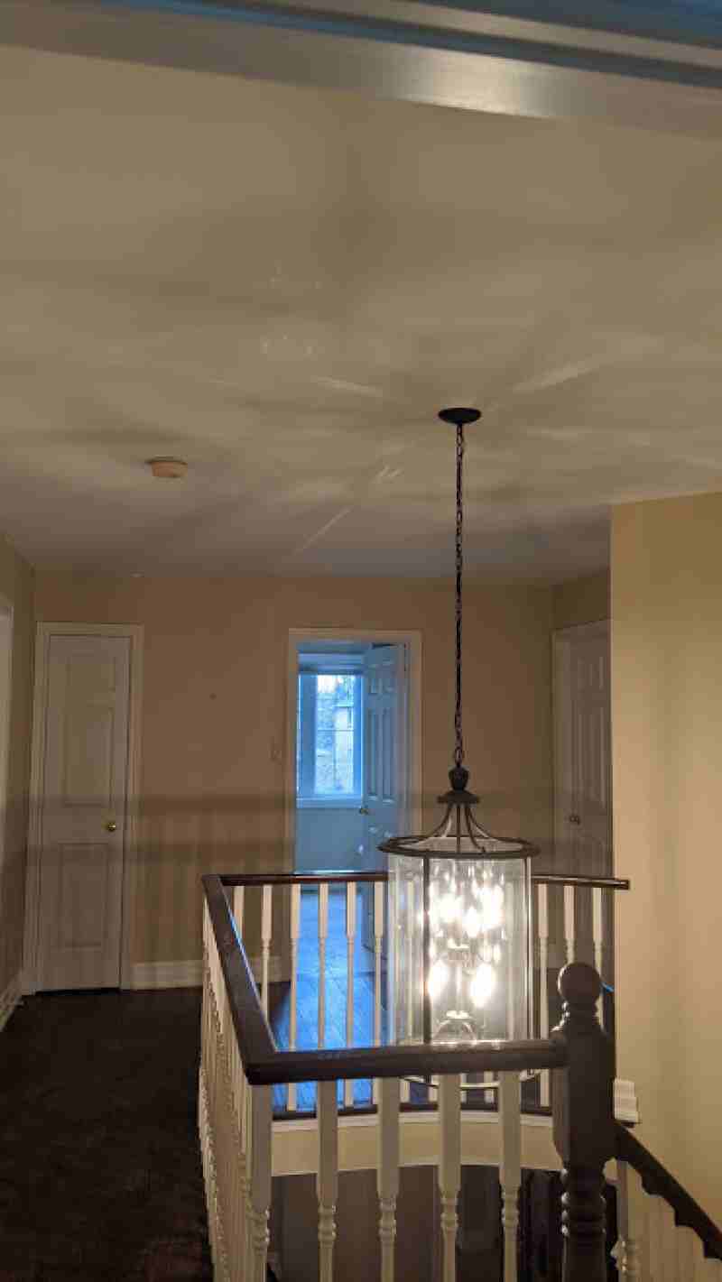 Plaster Ceiling Restoration and Service Ceiling Installation: What ...